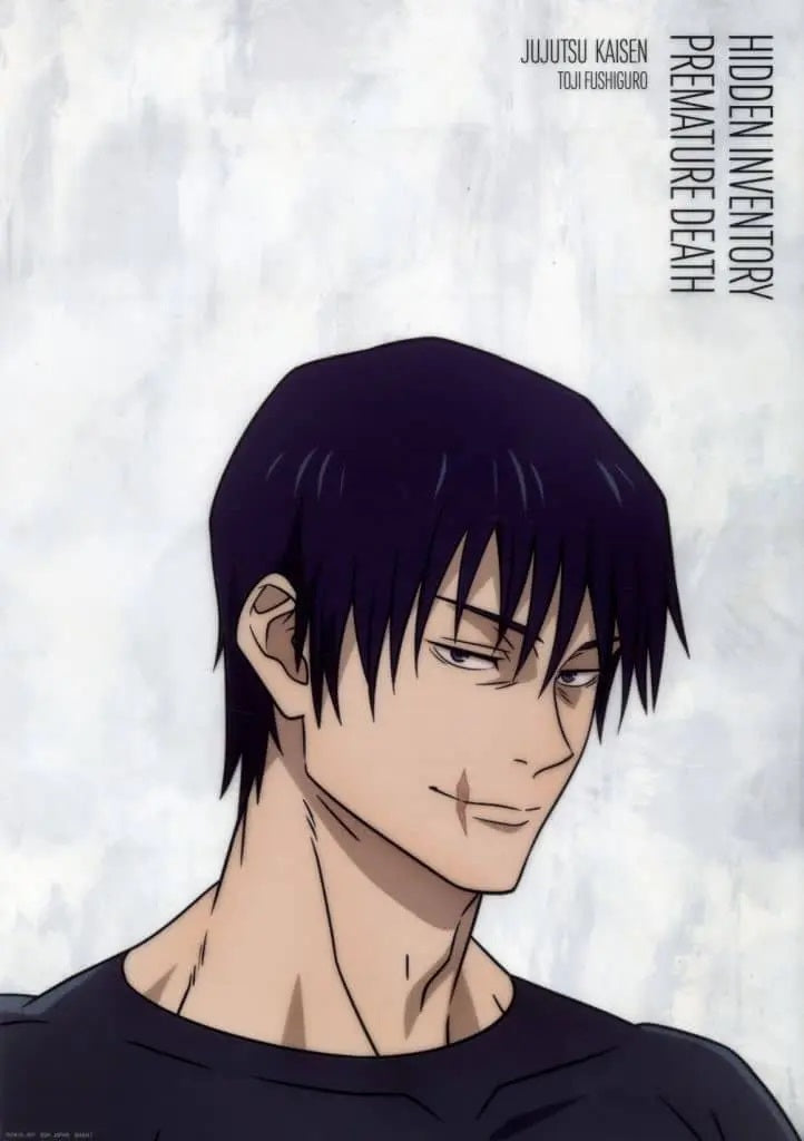 Jujutsu Kaisen Ichibankuji Kaijutsu Ball F-Prize Poster: Toji Fushigur ...